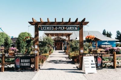 Krause Berry Farms & Estate Winery - Fraser Valley