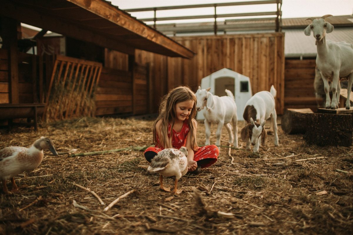 Greendale Acres Farm - Fraser Valley