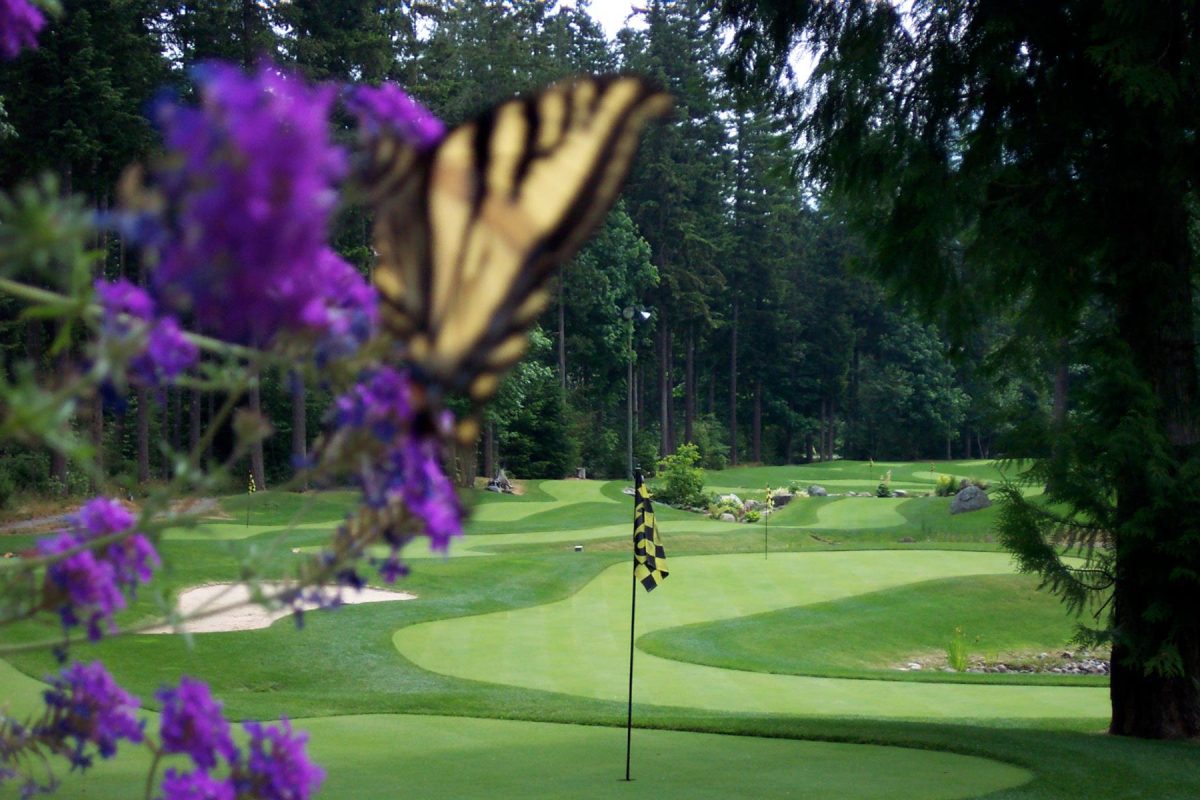Tap-Ins Putting Course - Fraser Valley