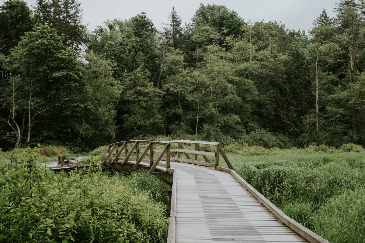 9 Insta-Worthy Locations to Check Out in the Fraser Valley, BC - Fraser ...