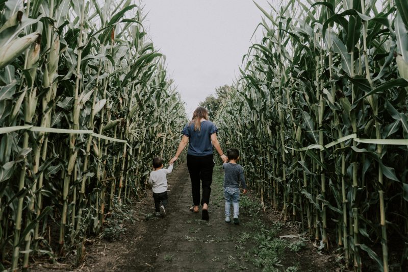 Sparkes Corn Barn and Produce stand - Fraser Valley