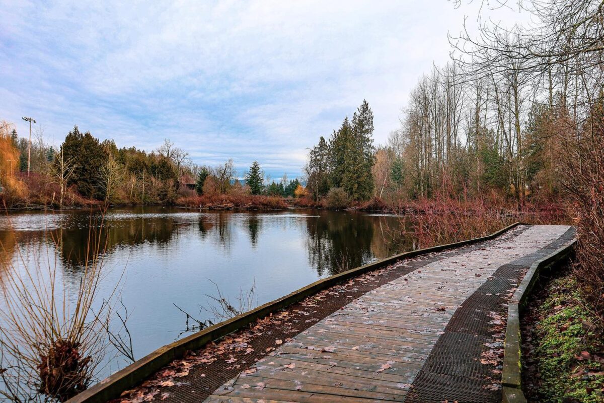 Falling for Foliage: Unveiling the Ultimate Autumn Photo Spots - Fraser ...