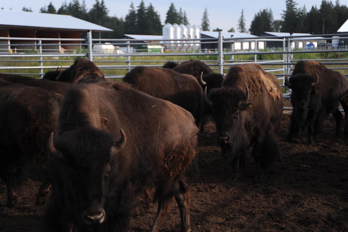 Langley - The Fraser Valley