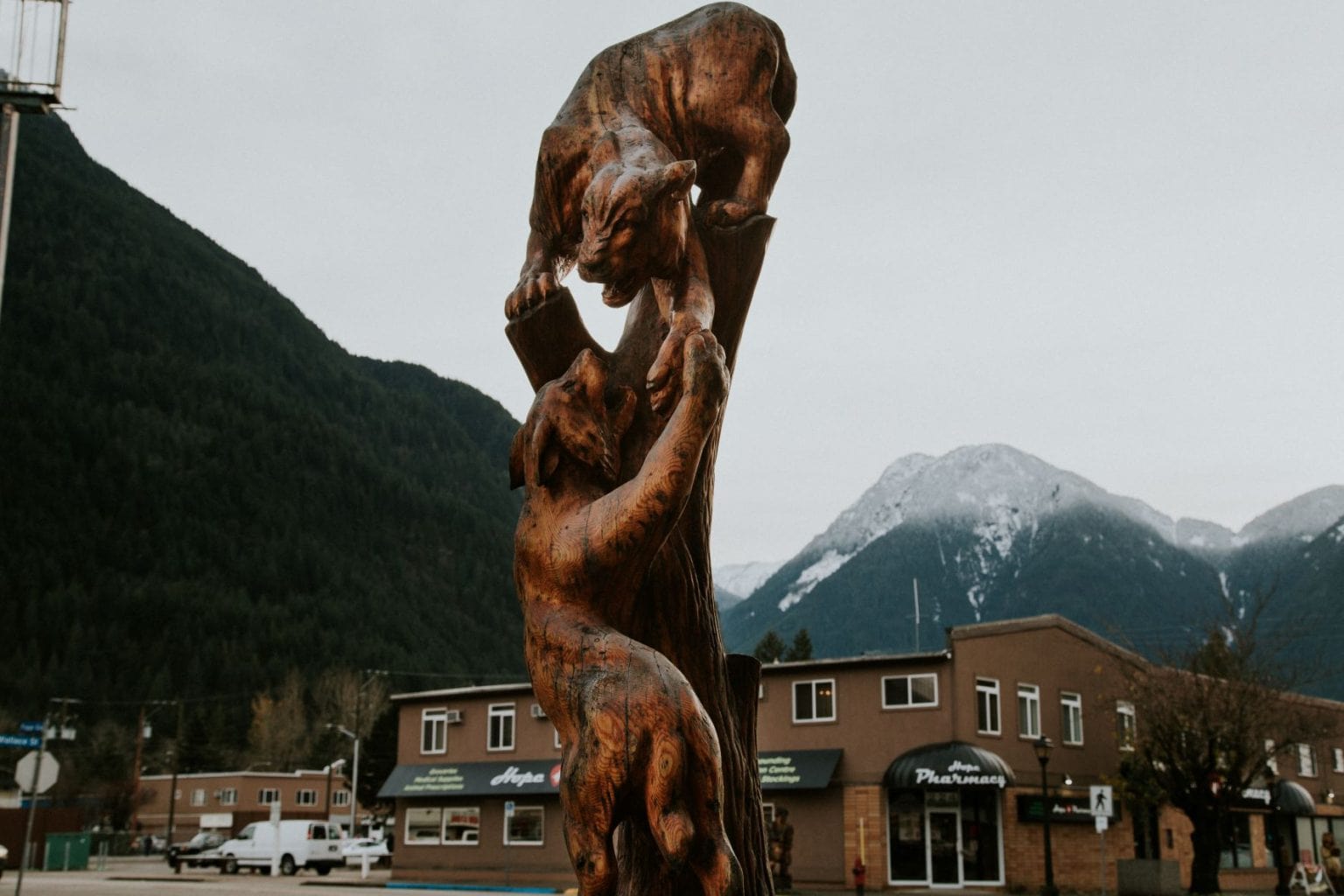 Hope Chainsaw Carvings - The Fraser Valley