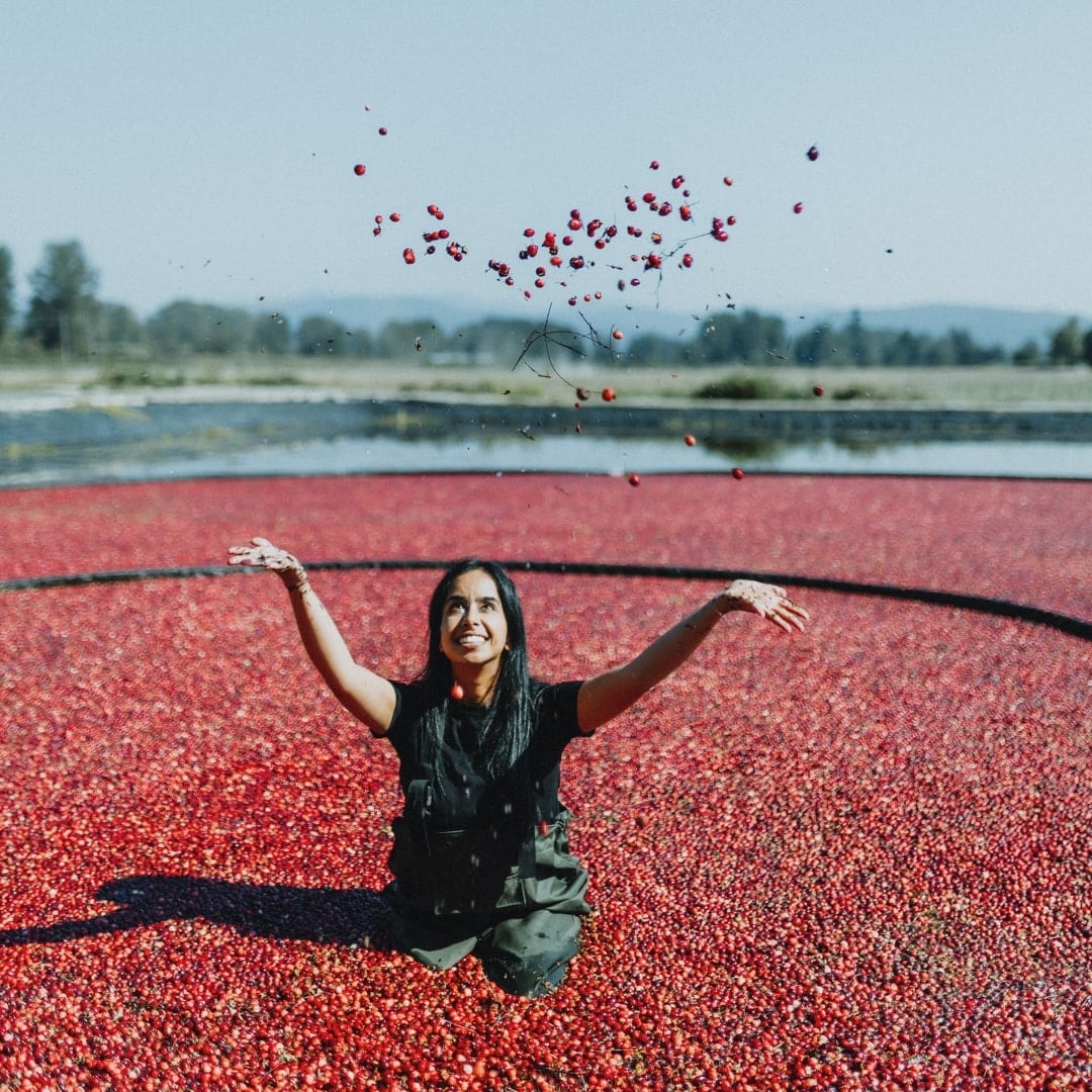 A Taste of Tradition: The Fort Langley Cranberry Festival - The Fraser ...