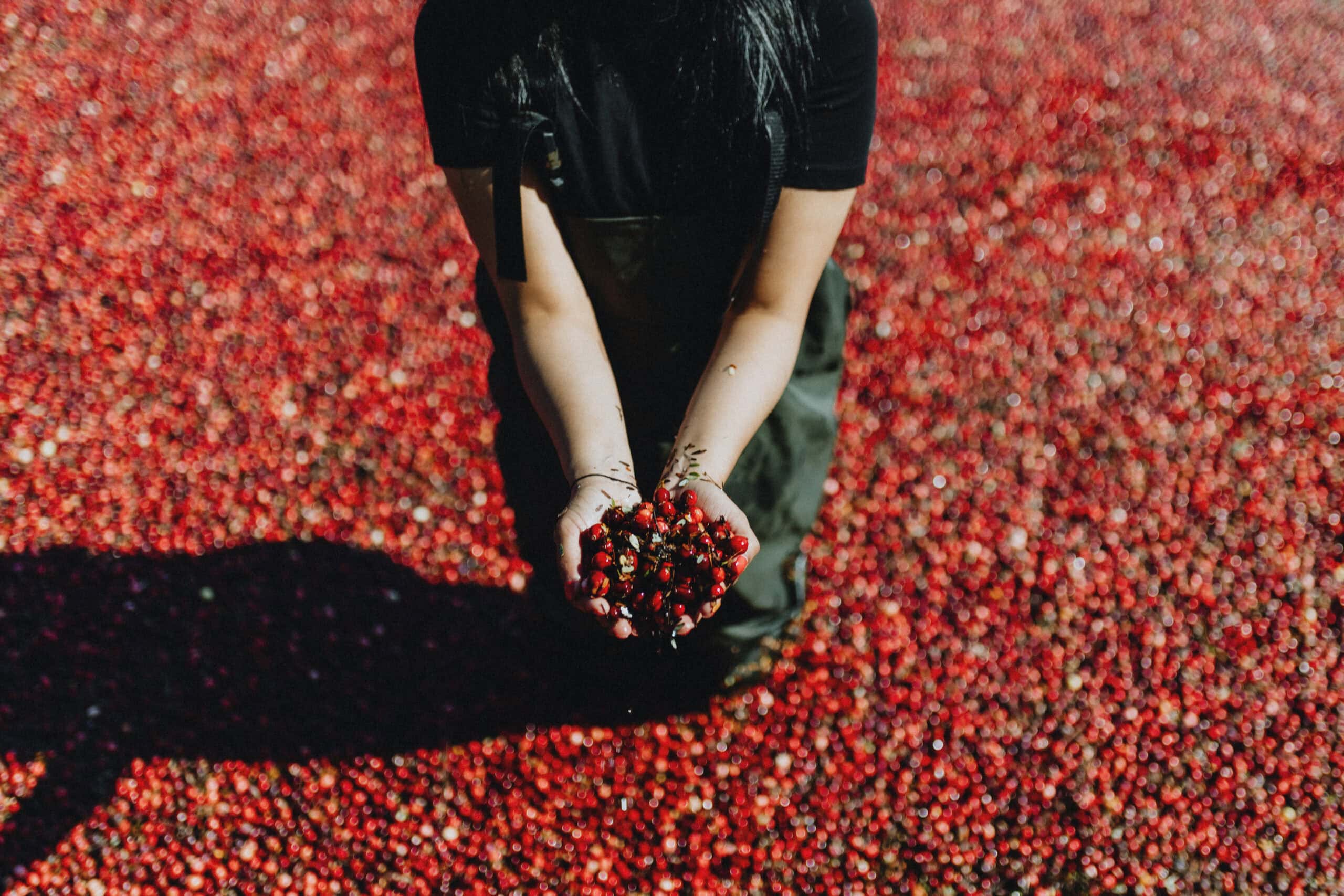 18 Fun Fall Experiences in the Fraser Valley - The Fraser Valley