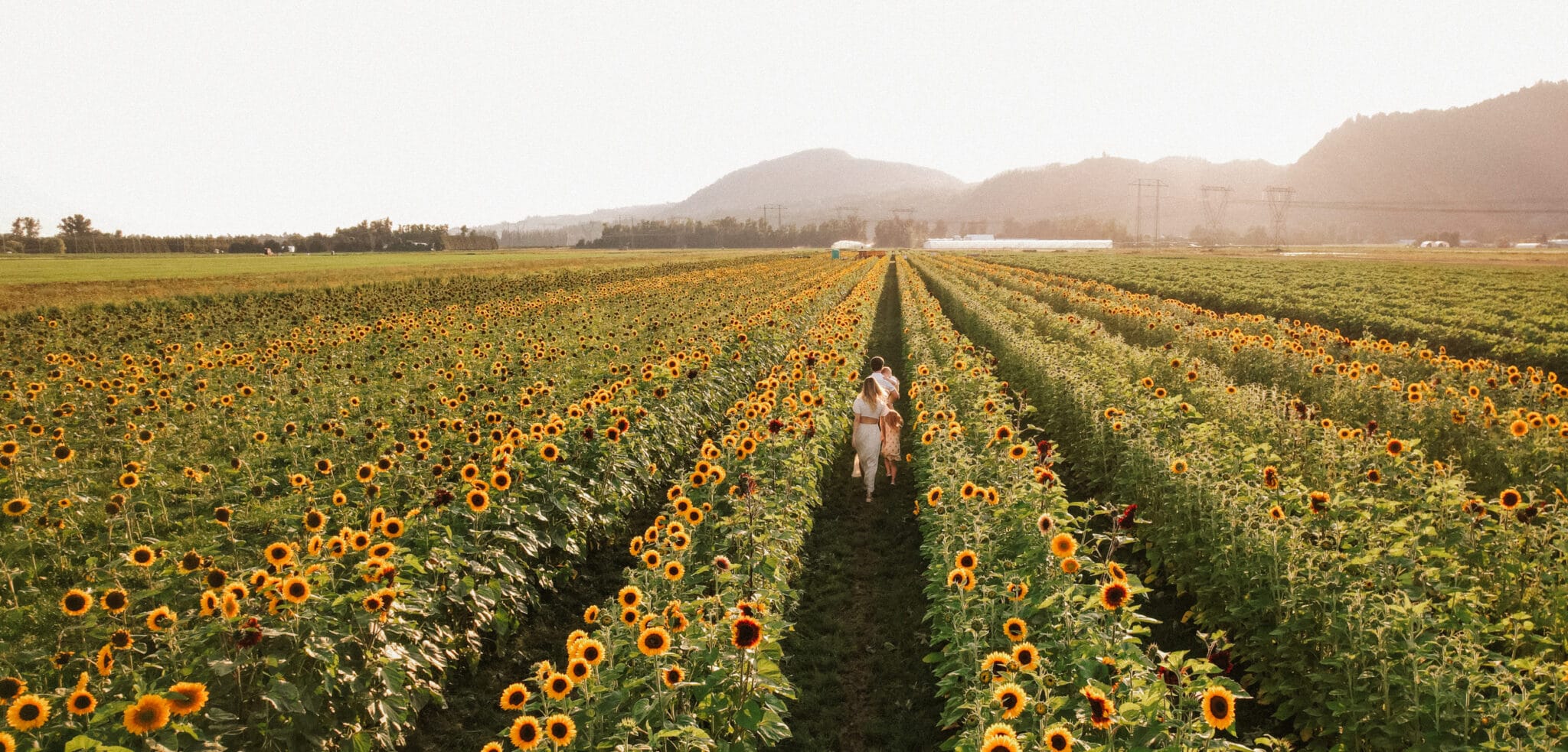 Explore - The Fraser Valley