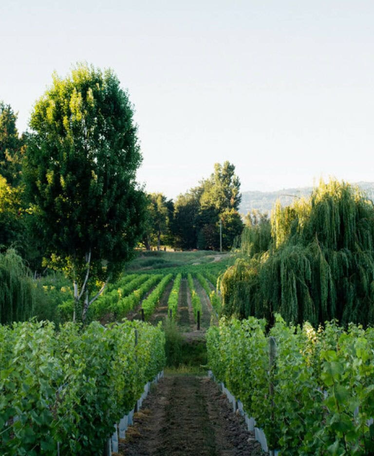 Circle Farm Tour - The Fraser Valley