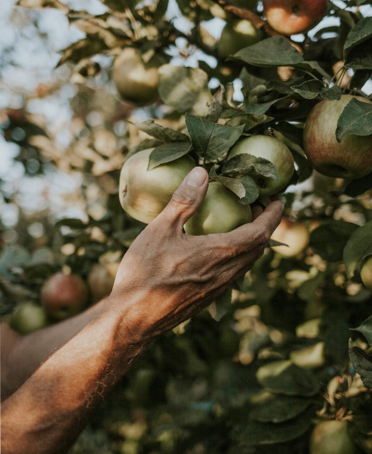 Circle Farm Tour - The Fraser Valley