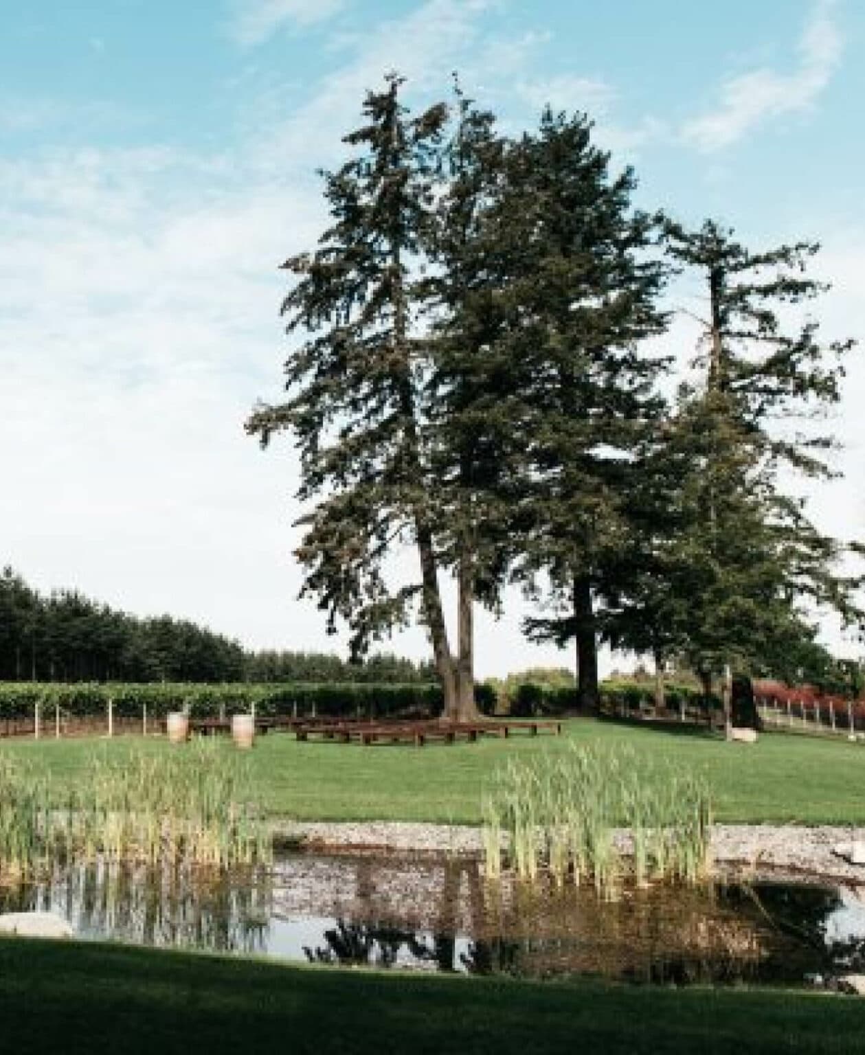 Circle Farm Tour - The Fraser Valley