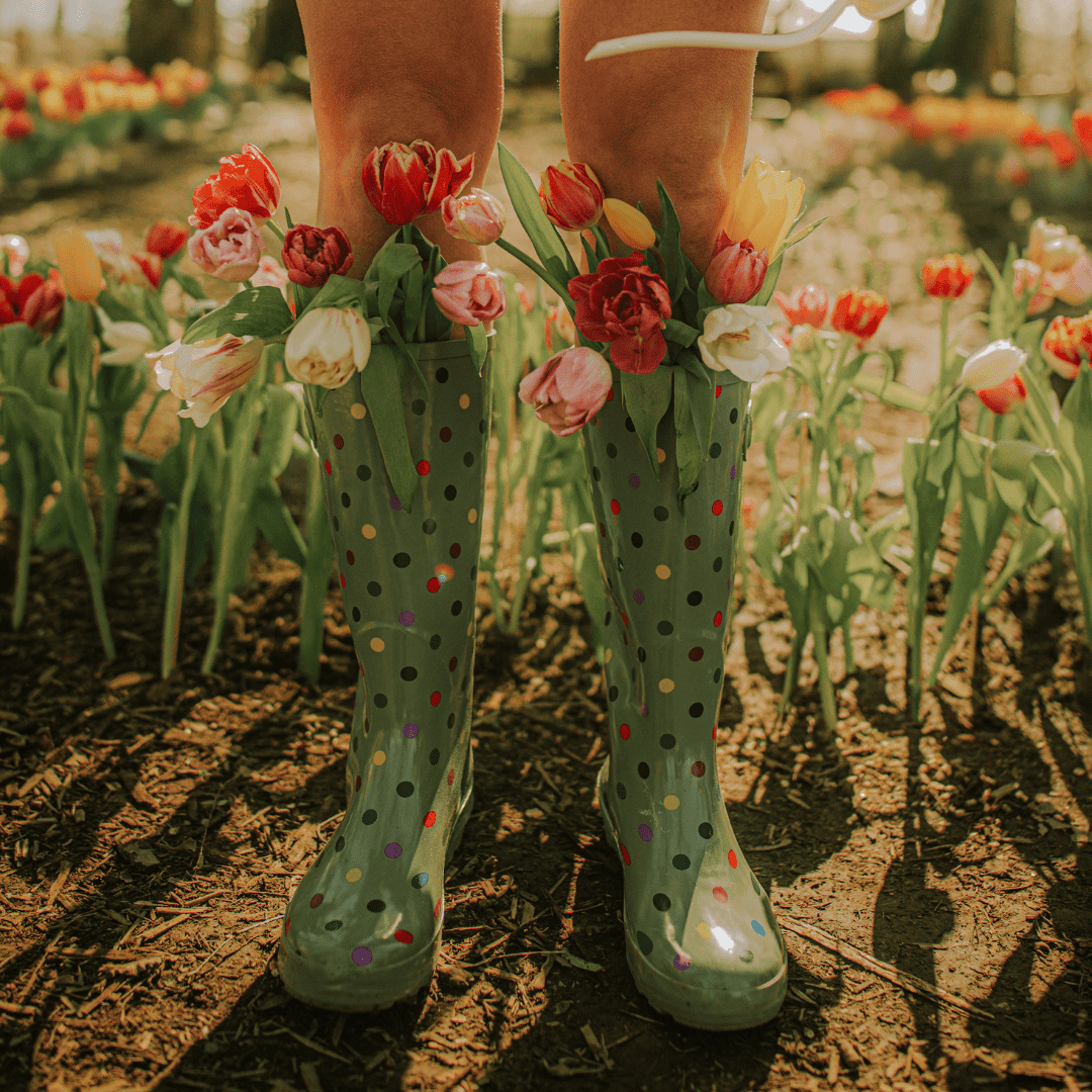 Your Guide to 2025 Fraser Valley Tulip Festivals - The Fraser Valley