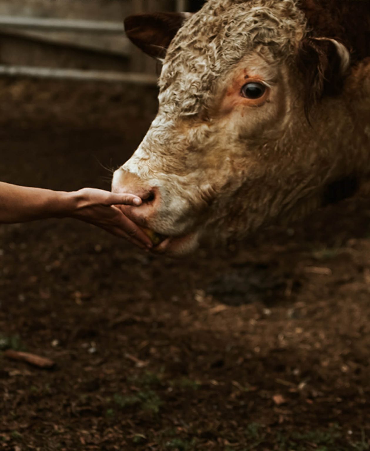 Langley Circle Farm Tour - The Fraser Valley