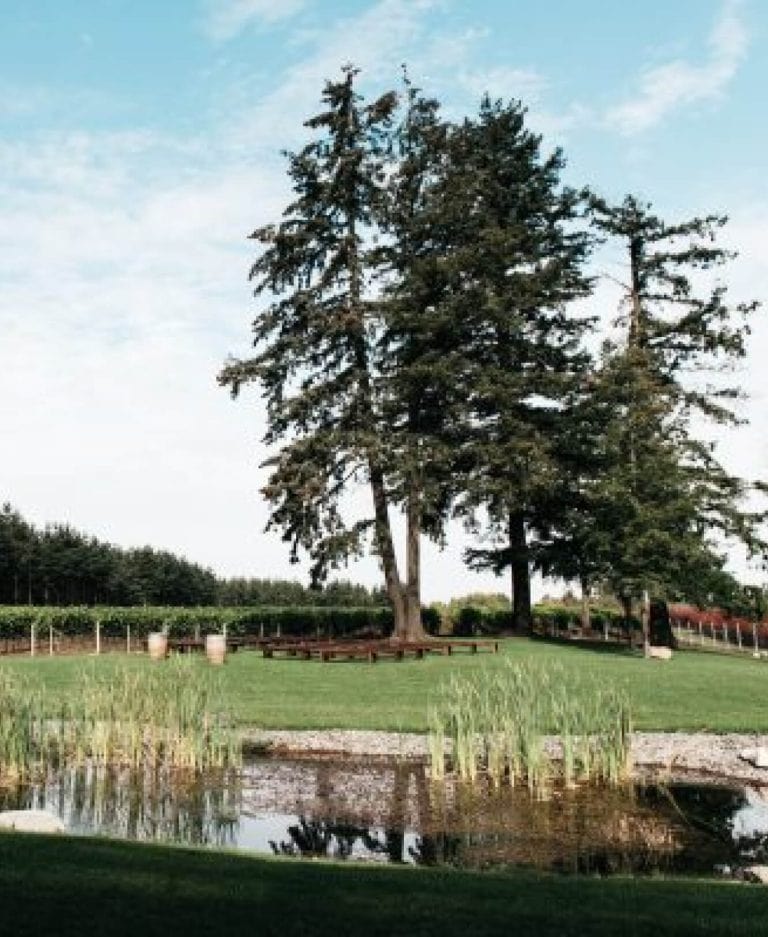 Langley Circle Farm Tour - The Fraser Valley