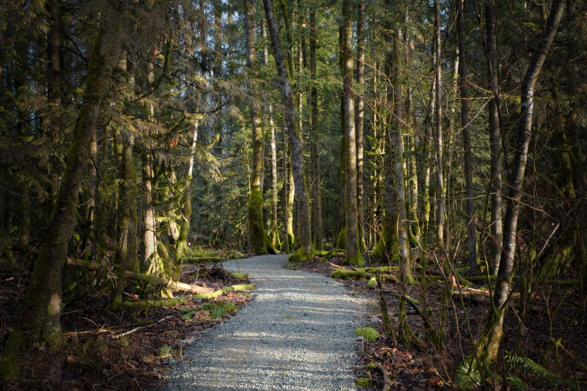 Sts’ailes Heritage Trail - The Fraser Valley