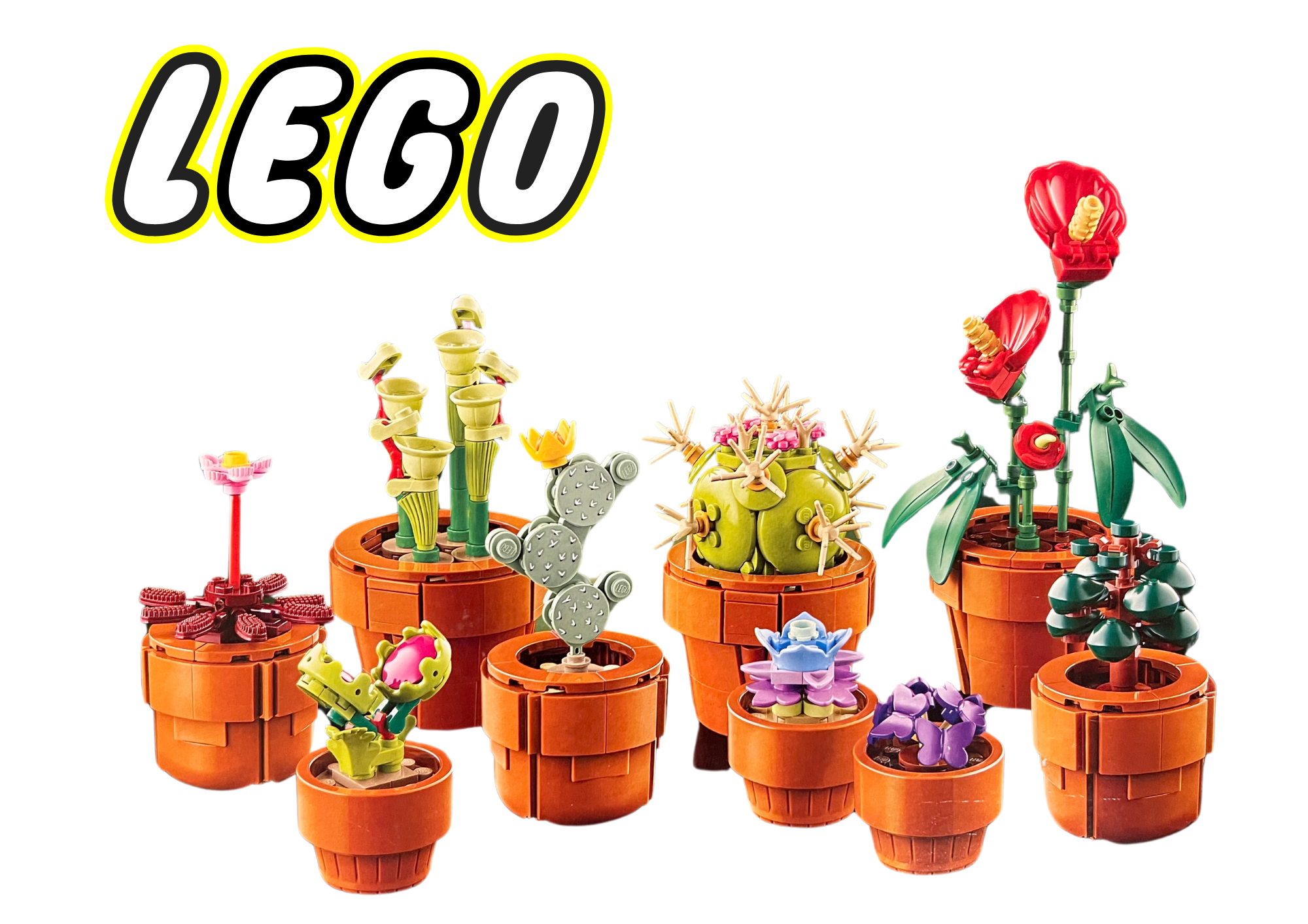 Tiny Pots LEGO n' Sip - The Fraser Valley